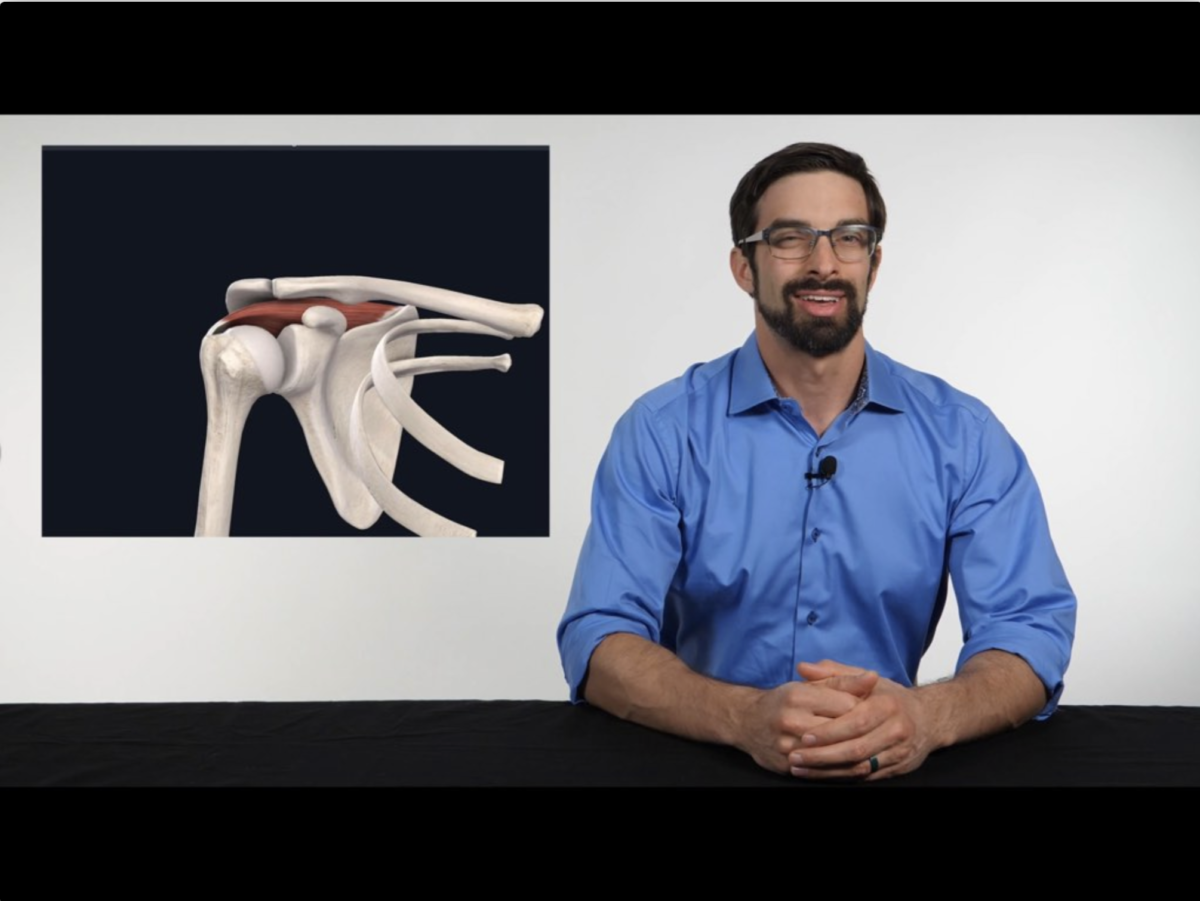 Complete Anatomy: Shoulder Special Tests - The Athlete Movement System