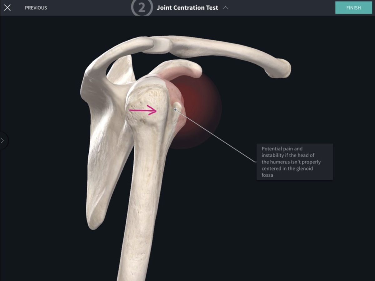 Complete Anatomy: Shoulder Special Tests - The Athlete Movement System